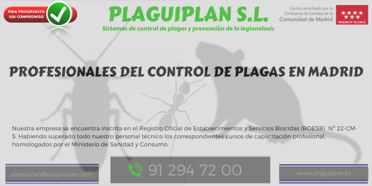 Control de Plagas Madrid - Plaguiplan