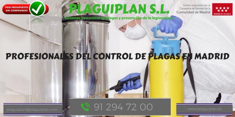 Empresa control de plagas - Plaguiplan