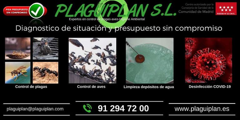 Tarifas Control de Plagas - Plaguiplan