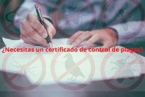 Certificado de control de plagas - Plaguiplan
