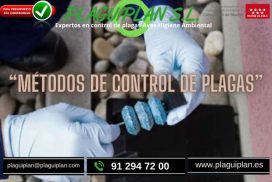 Métodos de Control de Plagas - Plaguiplan