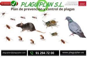 Plan de prevención y control de plagas - Plaguiplan