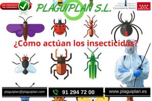 ¿Cómo actúan los insecticidas? - Plaguiplan
